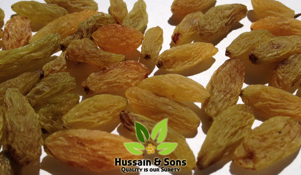Sunder Khani Raisins Supplier - Hussain & Sons