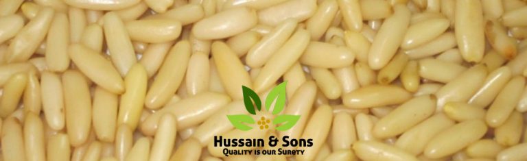 Pine Nuts - Dry Foods Pakistan
